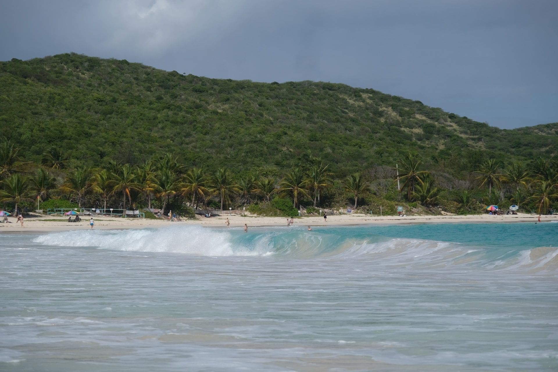 Descubre la Isla de Culebra: Un paraíso caribeño en Puerto Rico - USA a ...